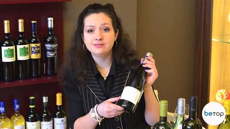 Совиньон блан Youtube
