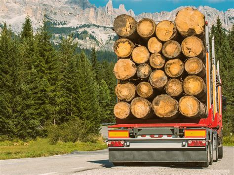 Seamless Timber Transit And Management — Forest Logistics Goramp