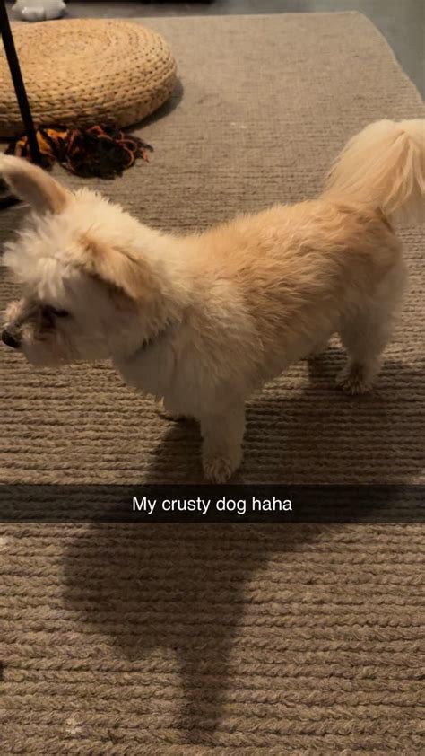 Stories Snap De Mathilda Hogberg Du Vendredi 17 Janvier 2025