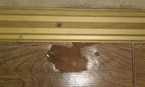 Laminate Problems Diynot Forums