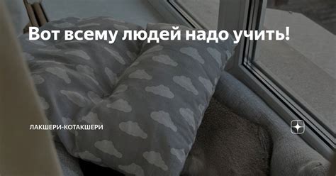 Вот всему людей надо учить Лакшери Котакшери Дзен