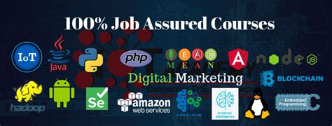 Best Summer Training Institute In Noida Delhincr