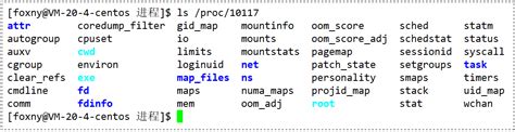 【看表情包学linux】11 进程的概念 进程控制块 Pcb 父进程与子进程 进程 Id Taskstruct子进程