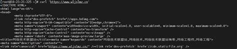 Curl Wget