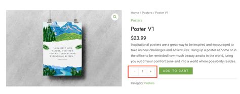 How To Master Quantity Increments In Woocommerce A Detailed Guide
