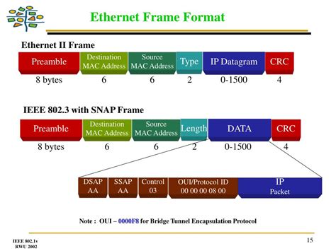 PPT Protocol Based VLAN IEEE 802 1v PowerPoint Presentation Free Download ID 3376202