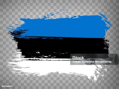 플래그 에스토니아 브러쉬 스트로크 배경 귀하의 웹 사이트 디자인 응용 프로그램 Ui에 대한 투명한 Backrgound에