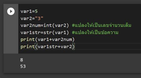 หัด Python สำหรับคนเป็น Excel ตอนที่ 2 ประเภทข้อมูล Data Types