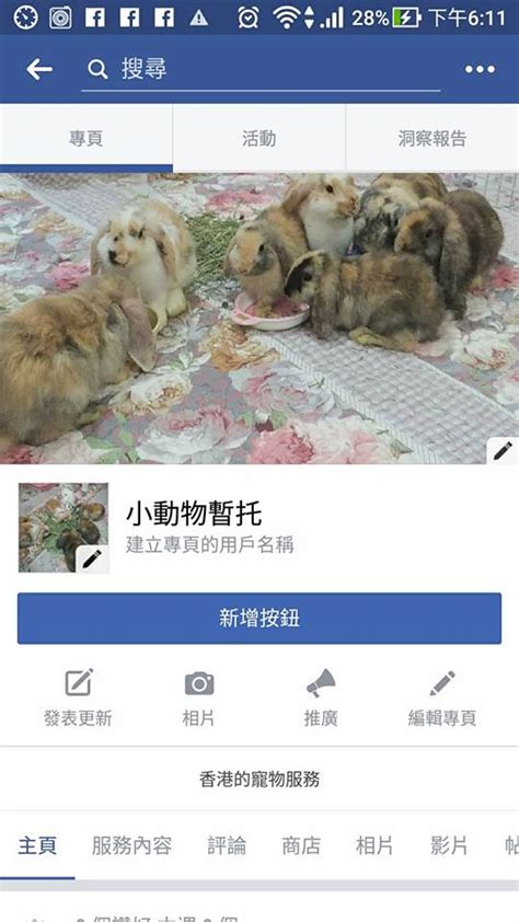 Mk妺周x婷住公屋3百幾尺養13隻兔又用公屋做竉物酒店 寵物台 香港高登討論區