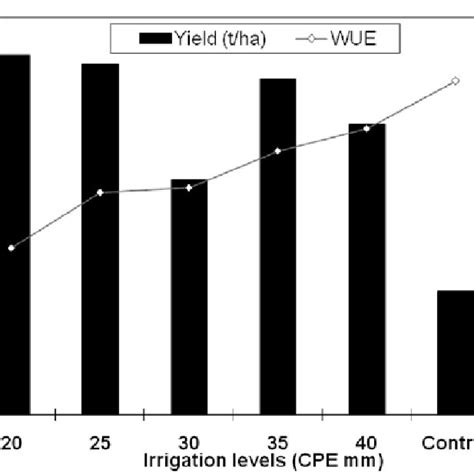 Effect Of Mulching And No Mulching On Water Use Efficiency Wue