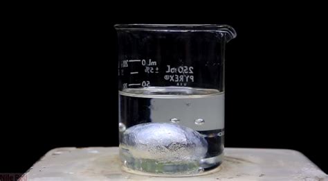 Filepotassium Metal By Nileredpng Sciencemadness Wiki