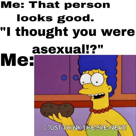 Aesthetic Attraction Exists You Know Raromanticasexual