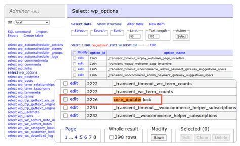 Mengatasi Another Update Is Currently In Progress Di WordPress Tonjoo