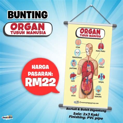 Bunting Organ Tubuh Manusia Mommyhappy