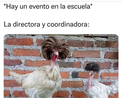 Son Meme Subido Por Tomie Memedroid