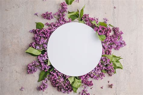 라일락 꽃과 문자 메시지에 대한 빈 종이 카드에 꽃 시링가 저속한 꽃 맨 위 보기입니다 로맨틱 꽃 구성 보라색 배경에 라일락 꽃