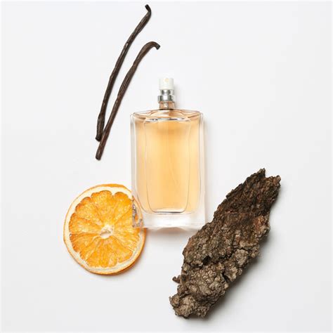 Gucci Intense Oud Edp 90ml House Of Fragrance