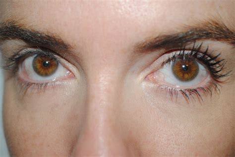 Maybelline The Colossal Go Extreme Volum' Mascara Review - Really Ree