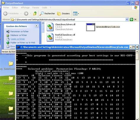 Example Of An Execution Of The Binary Code In The Researcher Side
