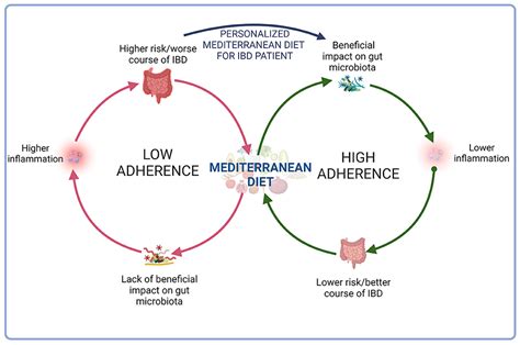 Inflammatory Bowel Diseases Differences Between Crohns Disease And