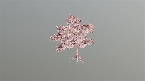 Tree Obj Download Free 3d Model By Huzaifatanveer222 [28db183