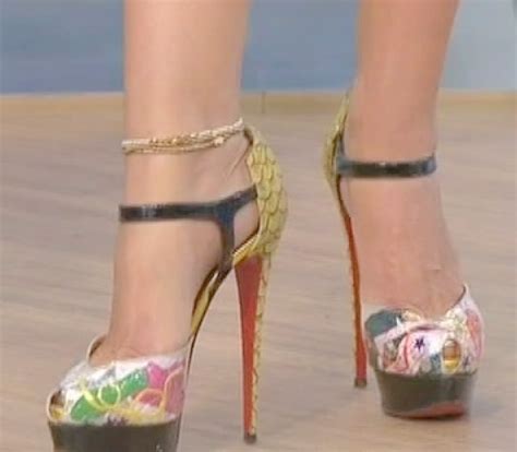 Belma Canciger S Feet