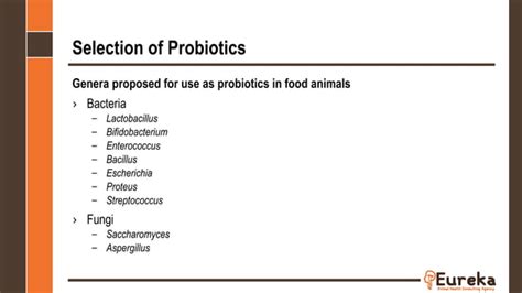 Probiotics Basic Introduction Ppt