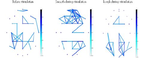 The Phase Synchronization Pattern In The Low Beta Band 12 15 Hz Download Scientific Diagram
