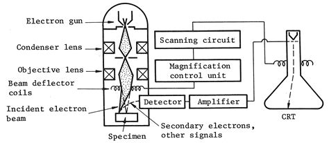 Scanning Electron Microscope Principle