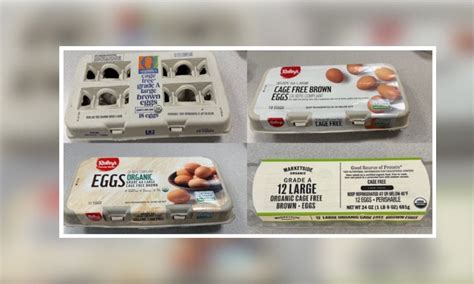 Salmonella Outbreak Linked To Eggs Prompts Recall Of Nearly 2 Million