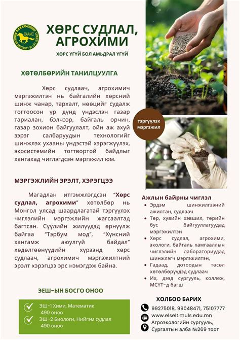 Өнөөдрийн будах зураг Будсан зургийг харж адилхан будаж сурах энэхүү арга нь будаж сурч эхэлж