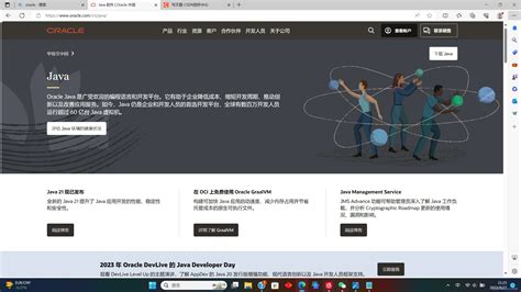 安装oraclejava并设置环境变量教程 csdn博客
