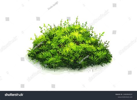 Lush Green Bushes Vector Illustration Design Stock Vector Royalty Free