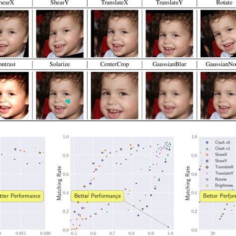visual examples of different baseline distortion methods download