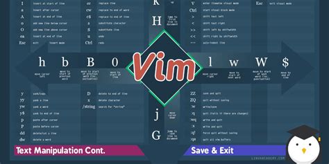 What Is Vim DEV Community