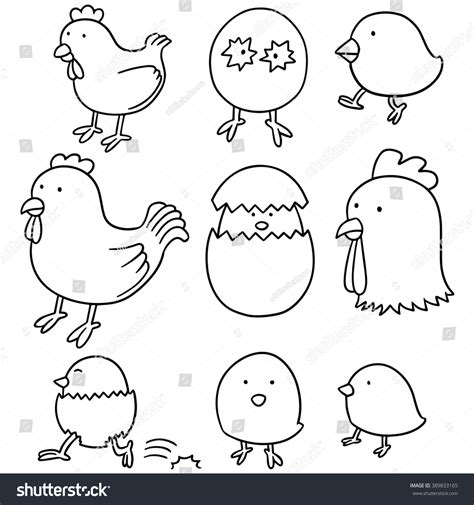 Vector Set Chicken Egg Stock Vector 389833165 Shutterstock