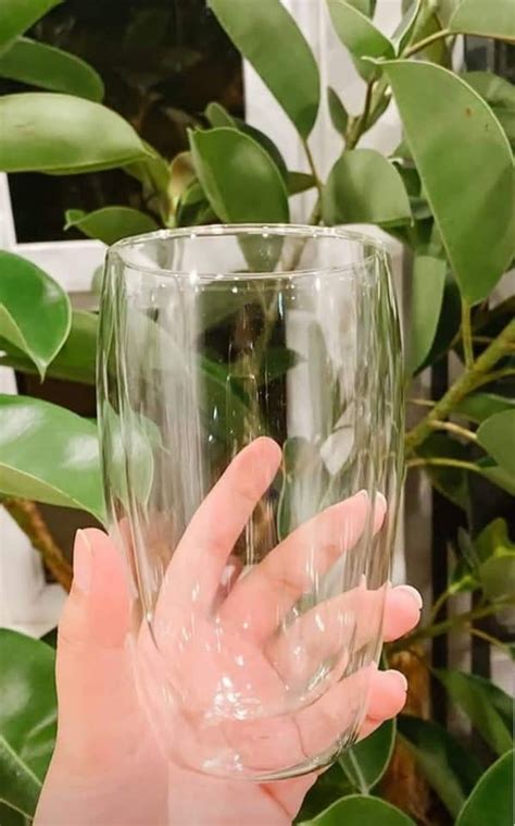 Double Walled Glass On Carousell