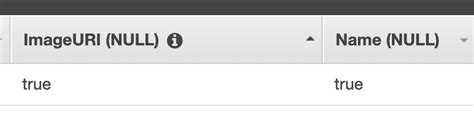 Aws Sdk Go Why Is Dynamodb Adding A Null Suffix To Attribute Names