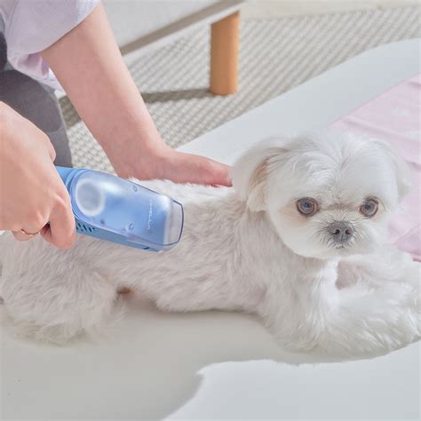 오엘라 저소음 흡입식 애견이발기