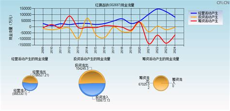 红旗连锁002697现金流量表中财网