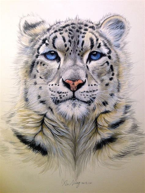 Snow Leopard，painted By Jane Xu Water Color Art／雪豹，許寧水彩作品 Snow