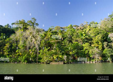 Guatemala Rio Dulce National Park Rio Dulce Sweet River Runs From