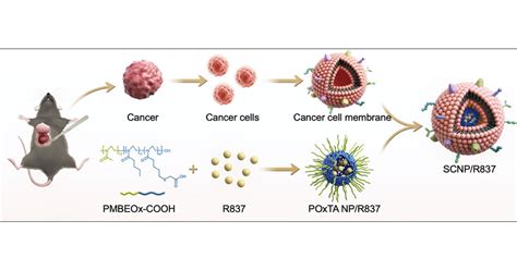 Surgically Derived Cancer Cell Membrane Coated R837 Loaded Poly2