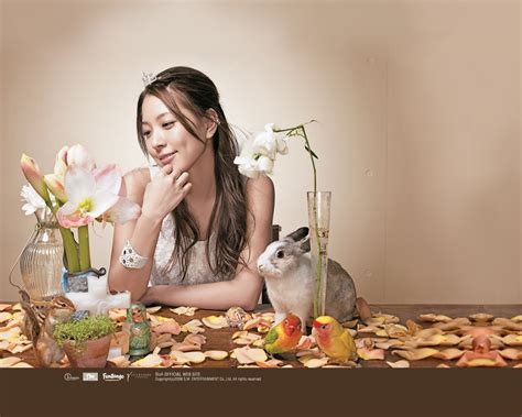 Korean Entertainers Korean Singer Boa 보아