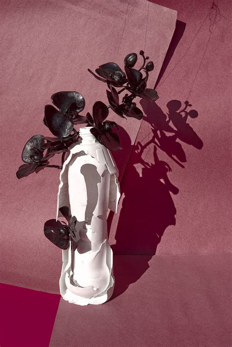 Thirza Schaap Biography Artworks And Exhibitions Ocula Artist