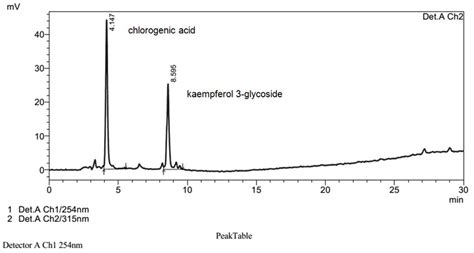 Typical Hplc Profiles Of The Aegopodium Podagraria L Aerial Part