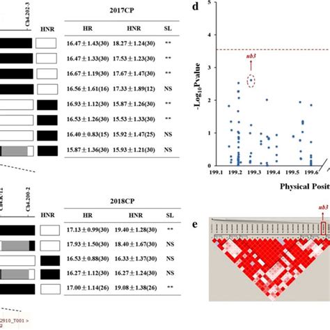 Fine Mapping Of Qkrnw4 And Region Association Analysis Around The Download Scientific Diagram
