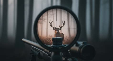 Best Microscope For Coins 2025 Expert Reviews And Guide