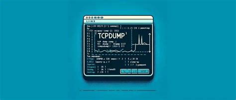 网络抓包神器：tcpdump 实用技巧与案例解析sudo流量过滤器