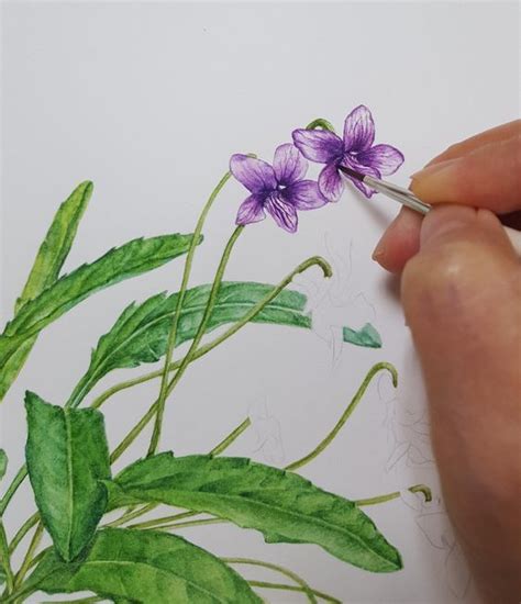 동네꽃 12 제비꽃 작지만 다양한 종류에 놀라는 꽃 꽃 꽃그림 제비꽃